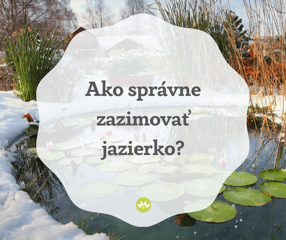 Účinné baktérie do septikov, ČOV a jazierok | Baktoma.sk | Ako zazimovať jazierko